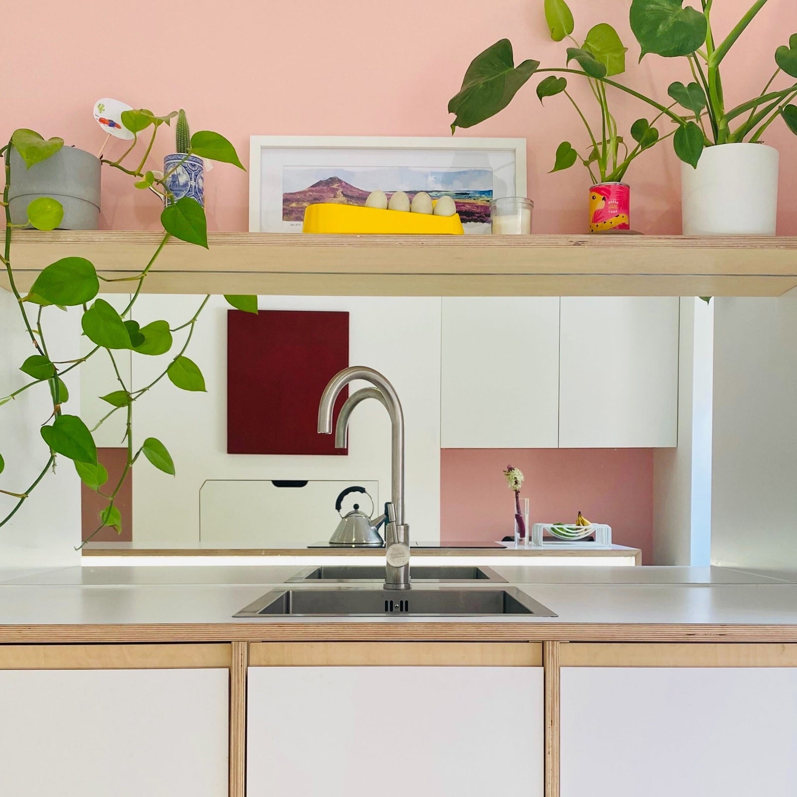 Why Plywood is the Smartest Upgrade for Your IKEA Kitchen Right Now