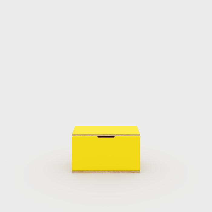 Storage Trunks